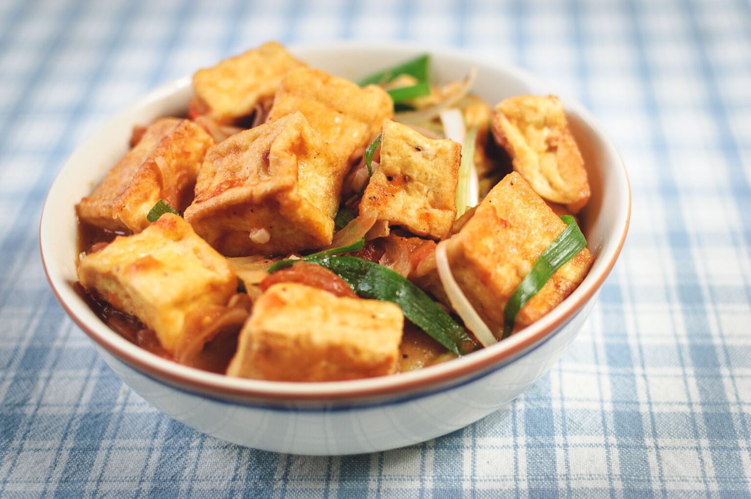 La guía vegana de tofu: texturas, productos y más – Tecnología Ambiental