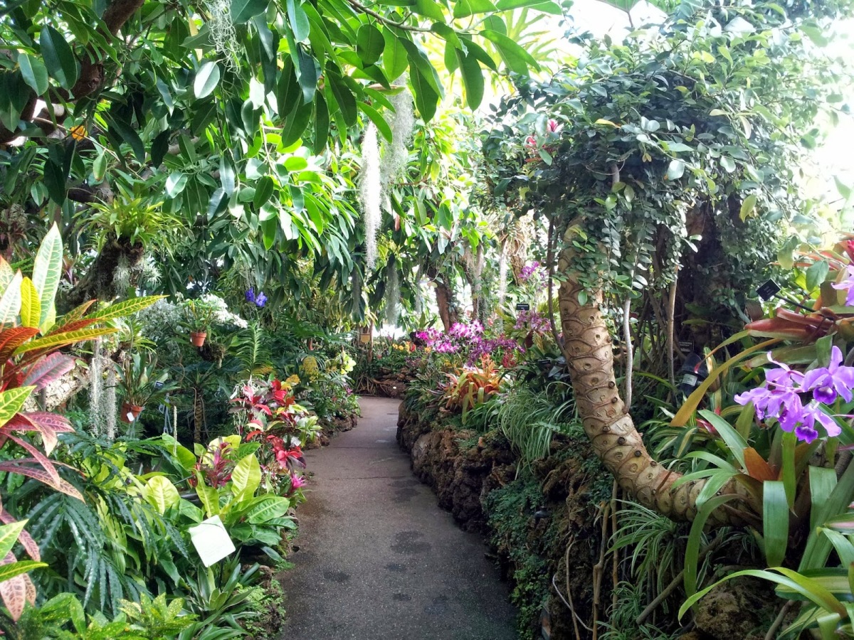 15 de los jardines botánicos más hermosos de los EE. UU. – Tecnología ...