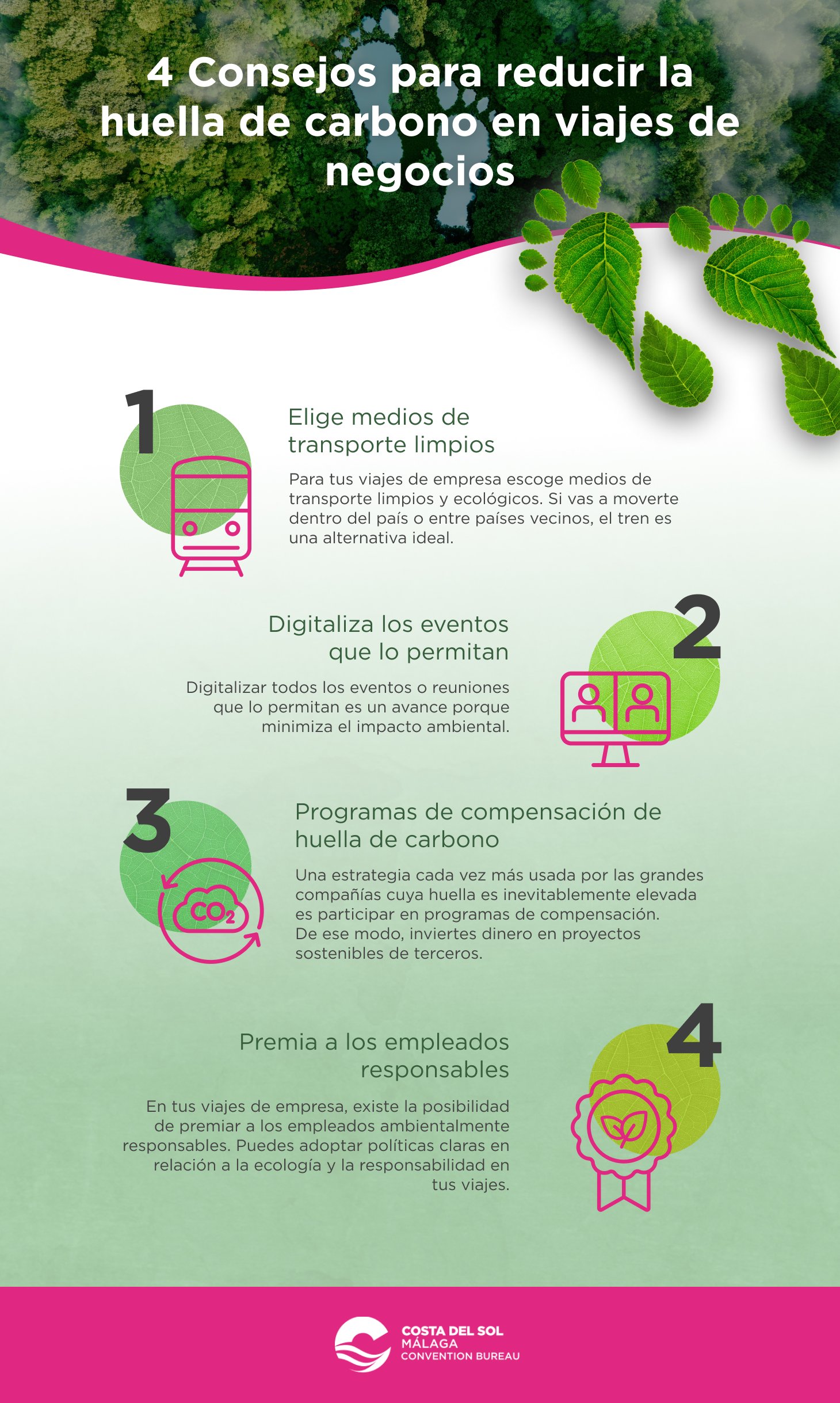 ¿Cómo Reducir la Huella de Carbono de tu Negocio? – Tecnología Ambiental