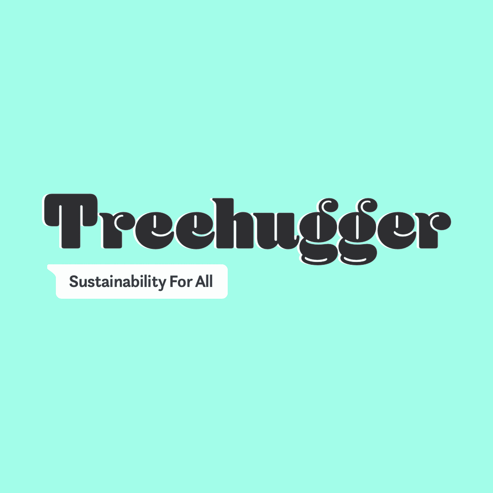 Laura Kiesel – Treehugger – Tecnología Ambiental