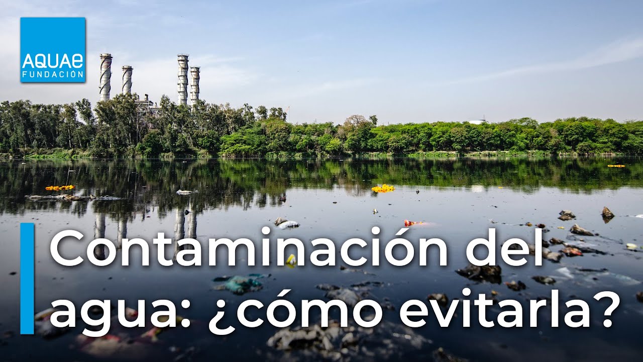 ¿Qué es la contaminación del agua? Fuentes, Impactos Ambientales ...